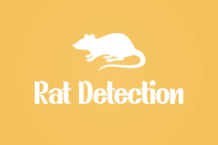 Home Rat Detection